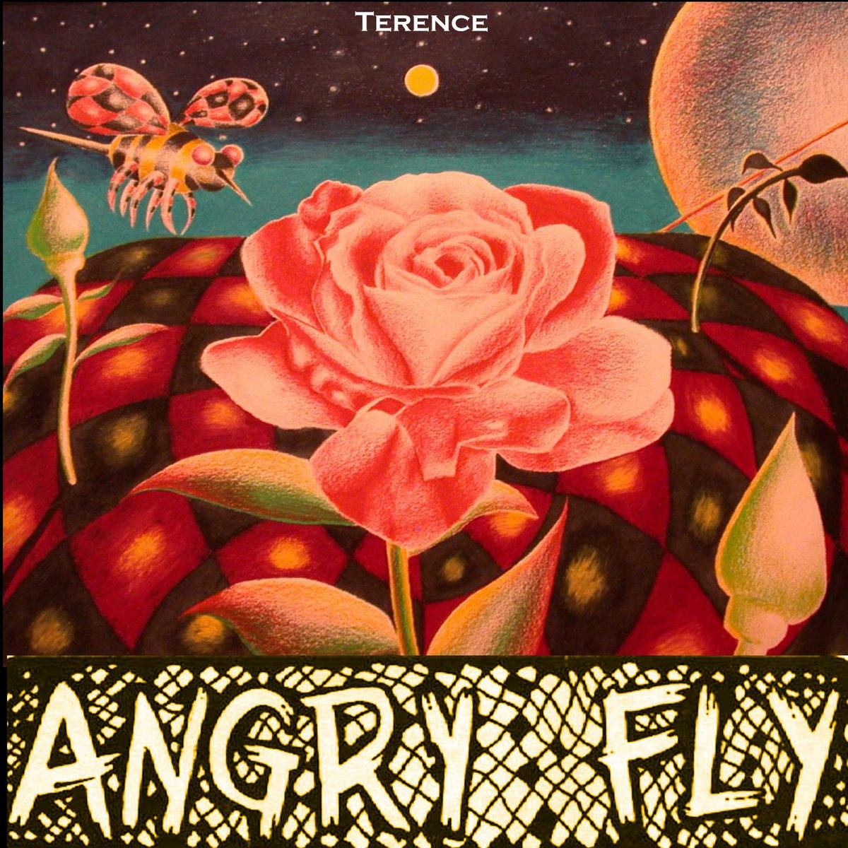 Angry Fly (1993) Remastered | Terence Hansen