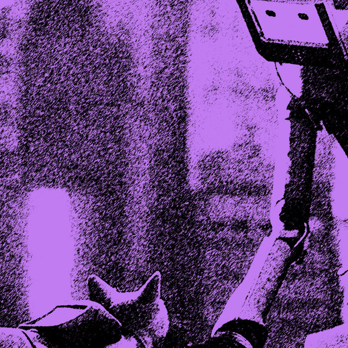 Dream In Static (Stray Song) | Twilike Wonder