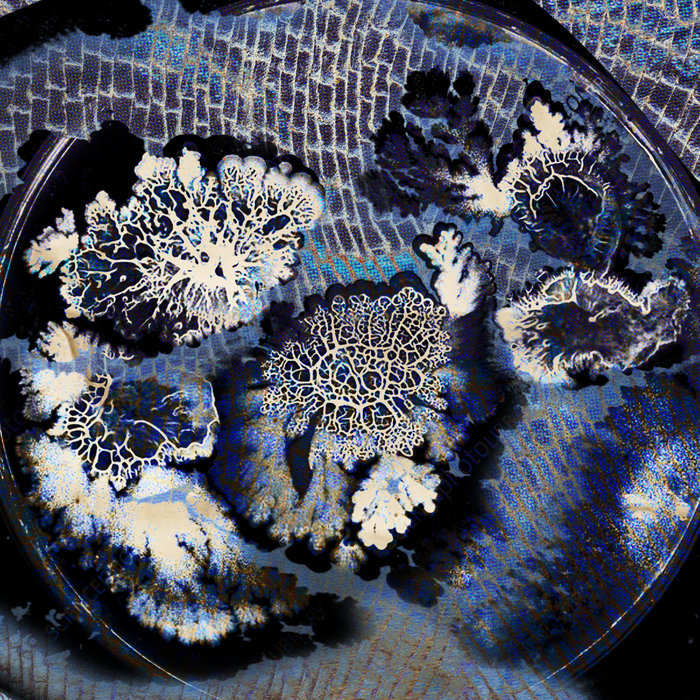 A Chance Meeting with Choice | Andrei Rusu | traverse