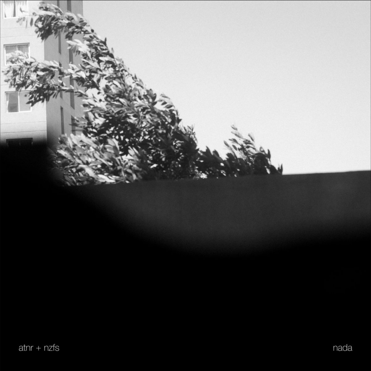 nada | atnr + nzfs | atnr