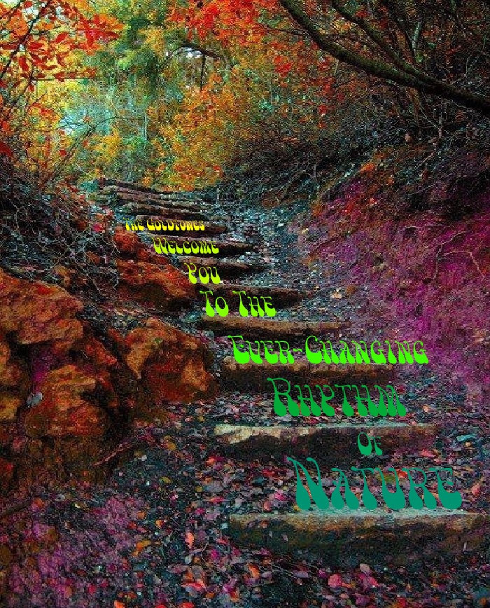 The Seasons | The Goldtones