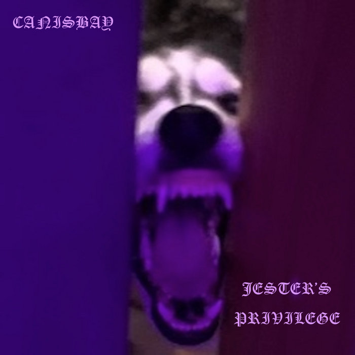 Jester's Privilege | Canisbay