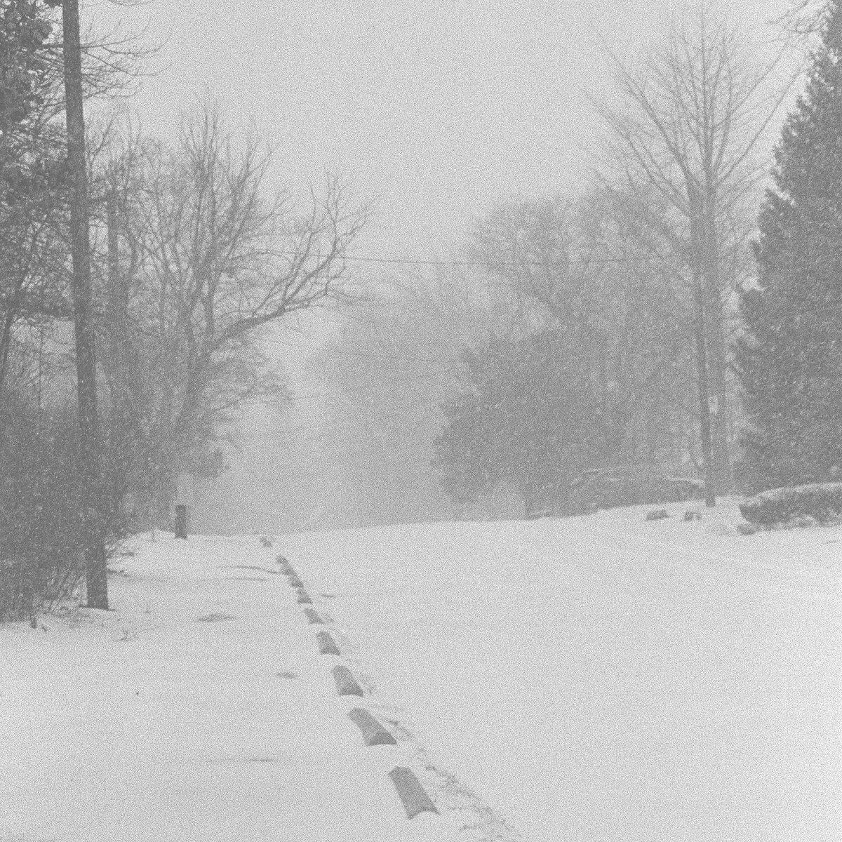 Christmas 4 | Christopher Ma