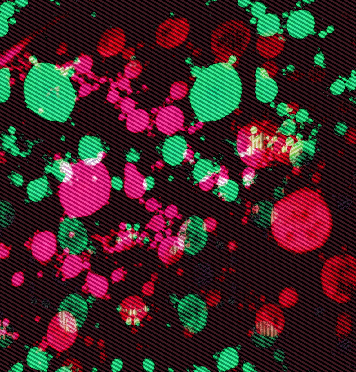 The Shadow You Cast | Zachary Signals