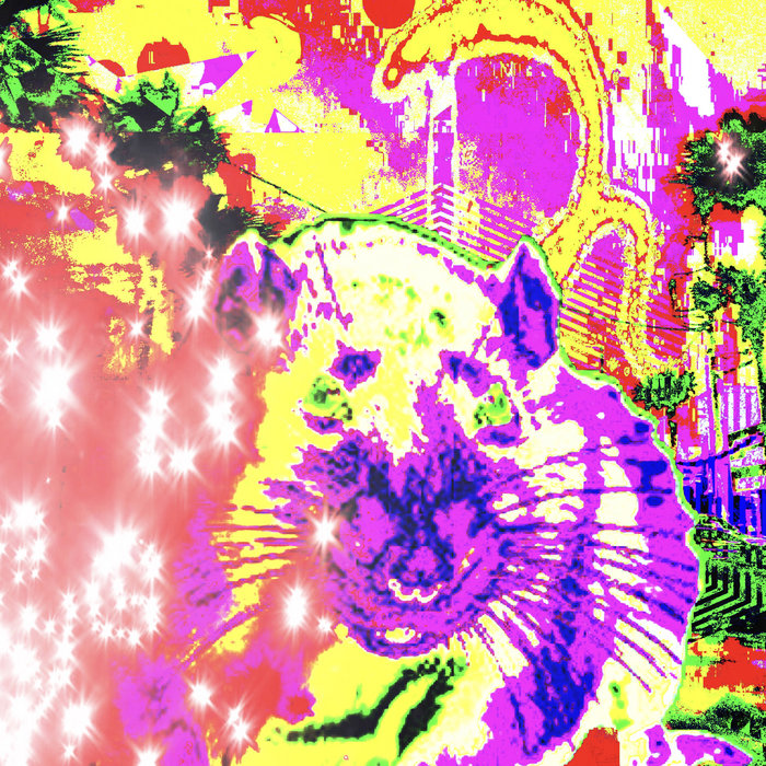 SUPER BIG RAT | REALLY BIG RAT