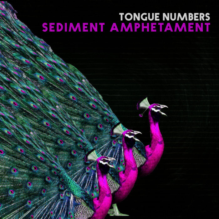 Sediment Amphetament | Tongue Numbers