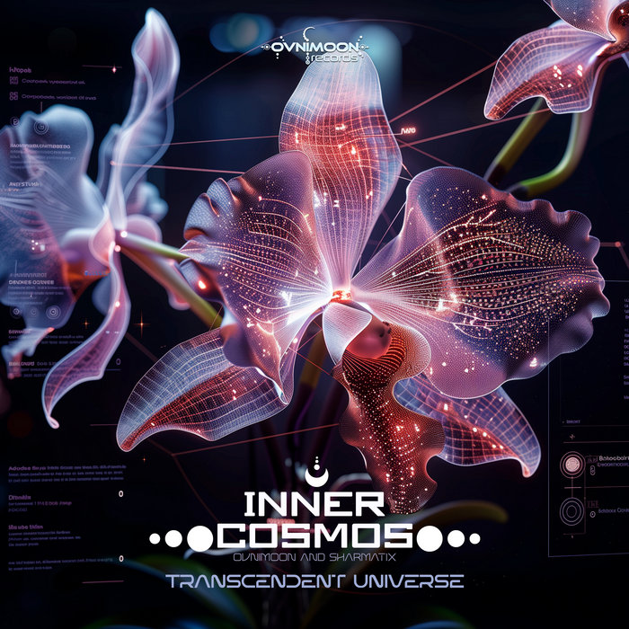 Inner cosmos - Trancended universe | ovnimoon