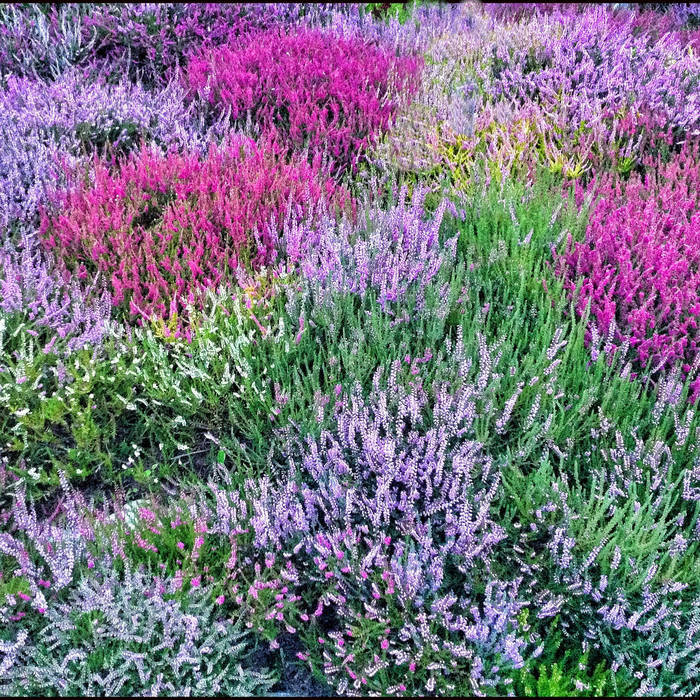 dob1974's collection | Bandcamp