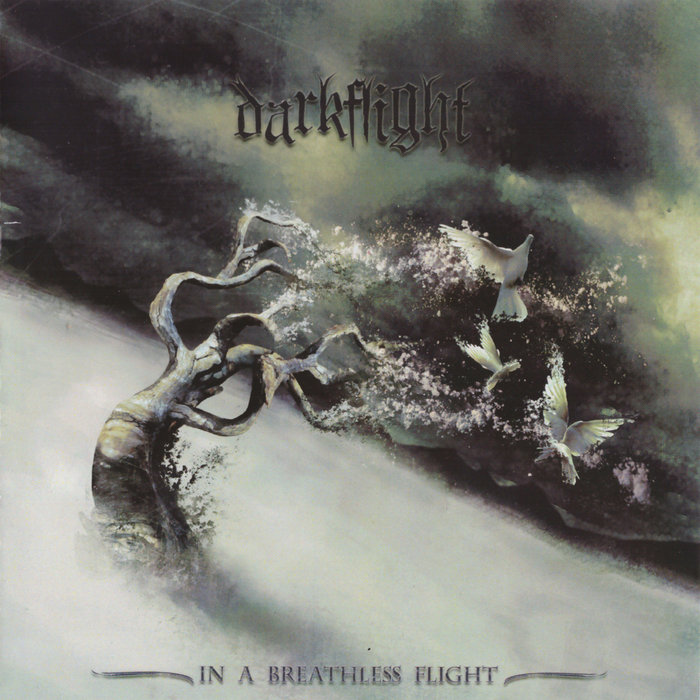 In A Breathless Flight | Darkflight