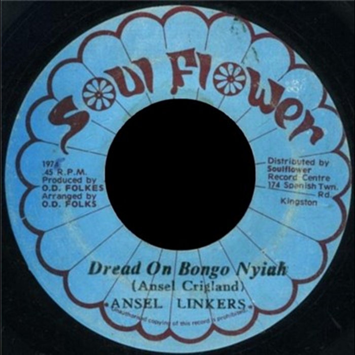 Dread On Bongo Nyiah | Ansel Cridland