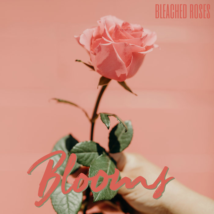 Blooms | Bleached Roses
