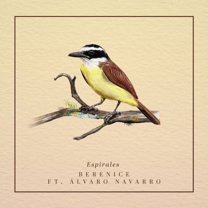 Espirales (2023) | Berenice, Los Locos Descalzos | B E R E N I C E
