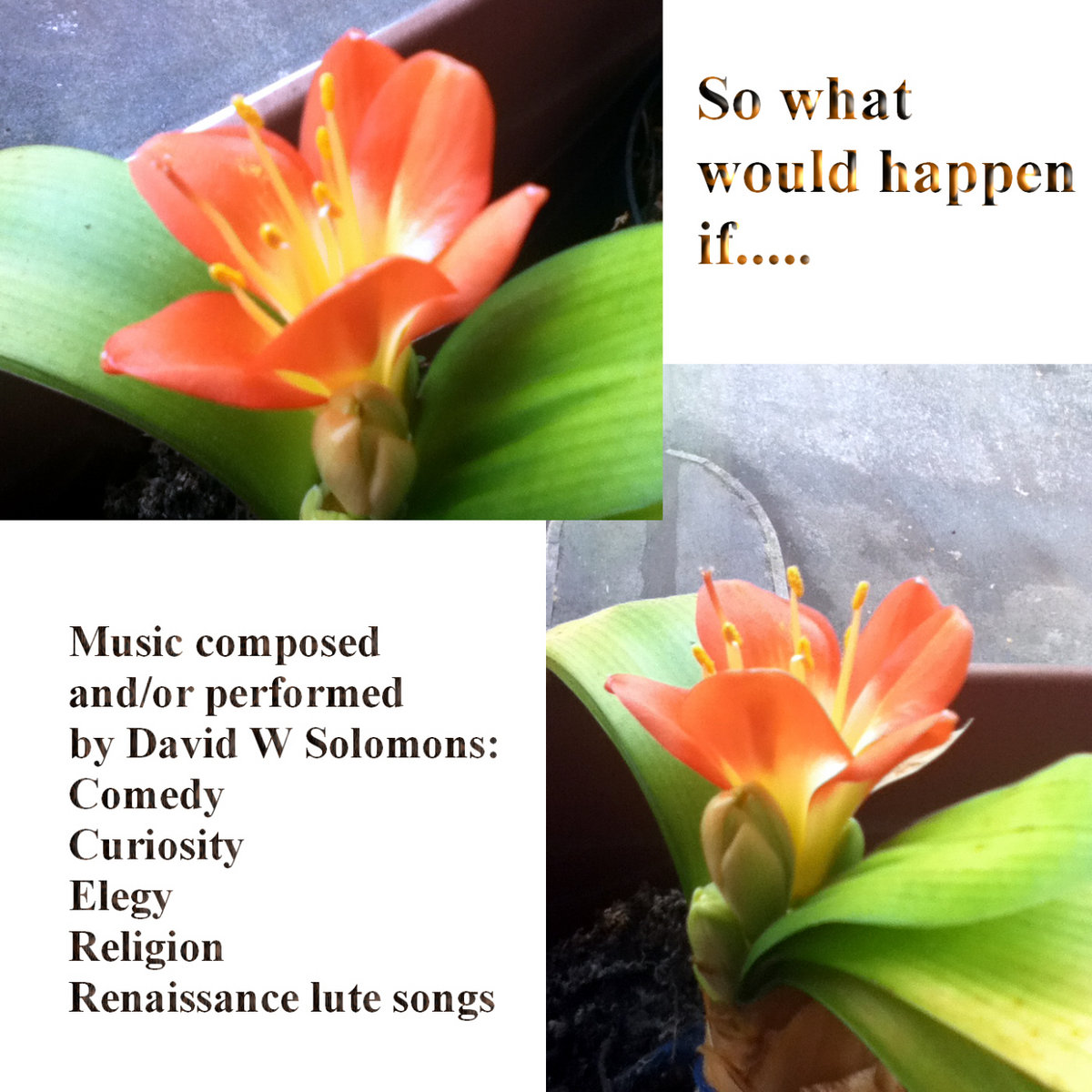 Mrs Hooligan's Christmas cake | David Warin Solomons