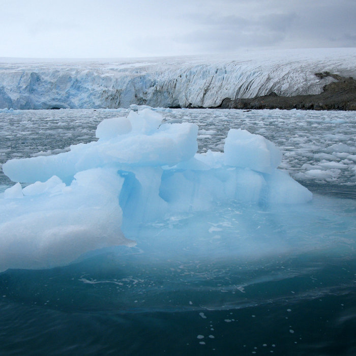 shades of ice | cheryl e. leonard | forms of minutiae