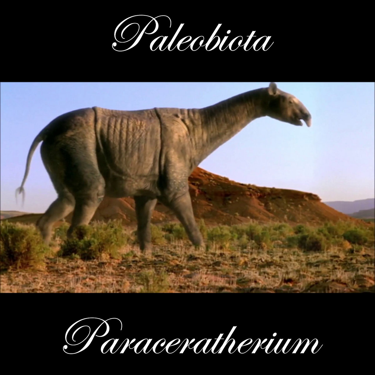 Paraceratherium | Paleobiota