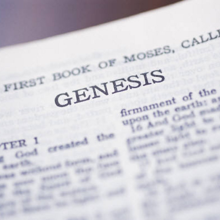 The Book of Genesis | The Holy Bible