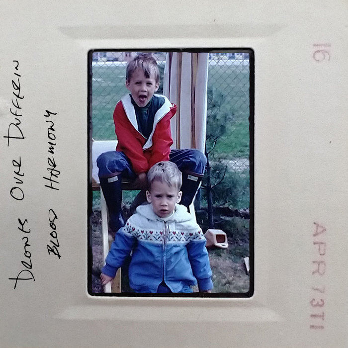 Blood Harmony | Drones Over Dufferin