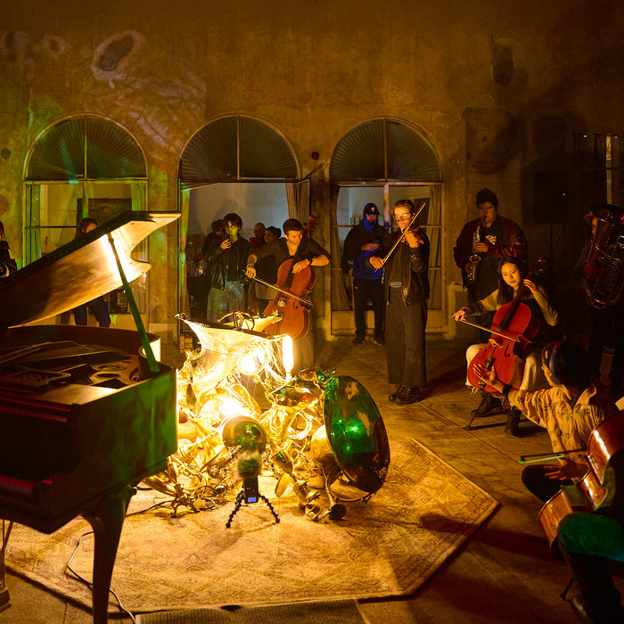 Life Cycle of a Fever Dream | Julia Edith Rigby