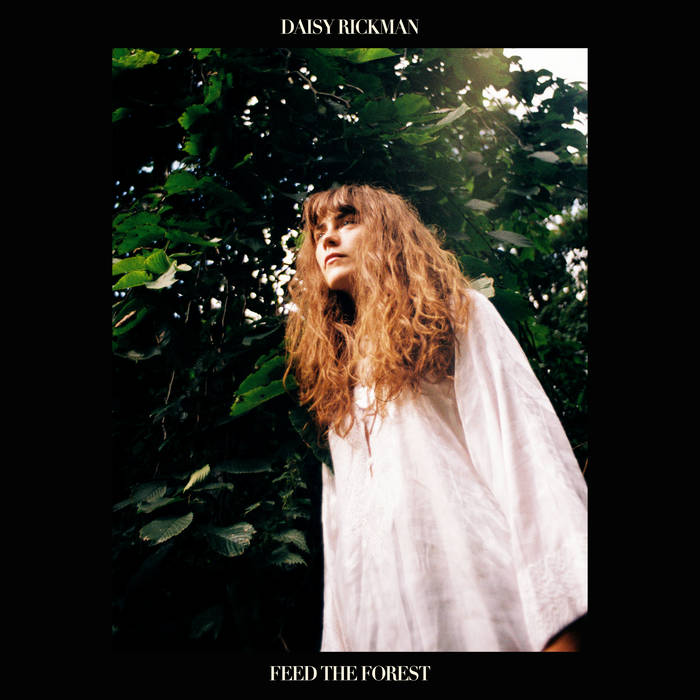 Feed The Forest | Daisy Rickman