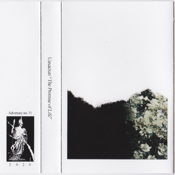 The Promise Of Life | Uaxactun