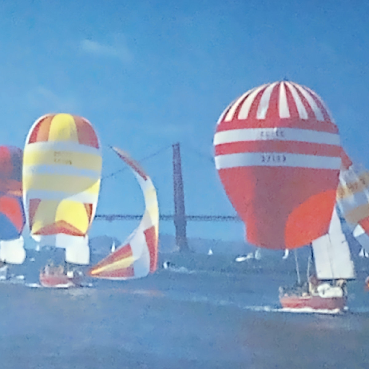 Another Calendar Year | Floral Flowers | Tangelo Mantis