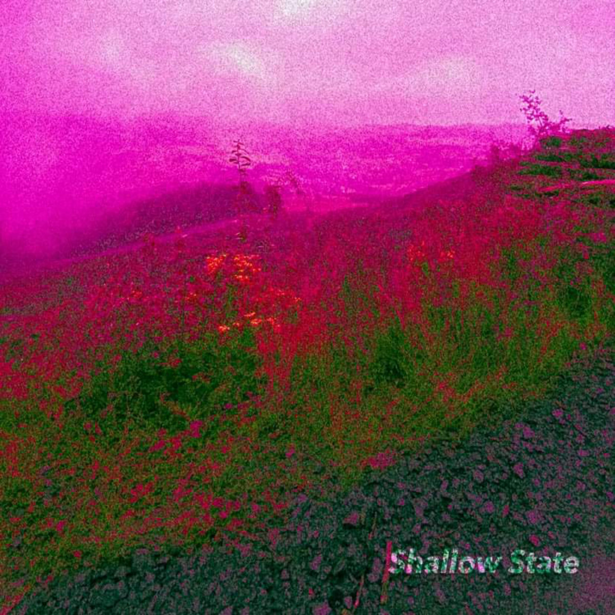 Shallow State | Shallow State