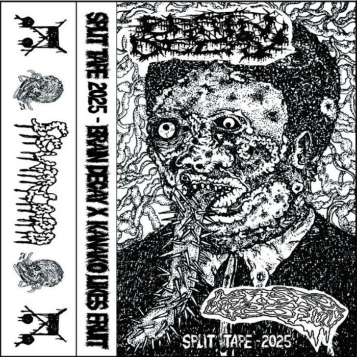 SPLIT TAPE 2025 W/ KANAKO LIKES FRUIT | Brain Decay