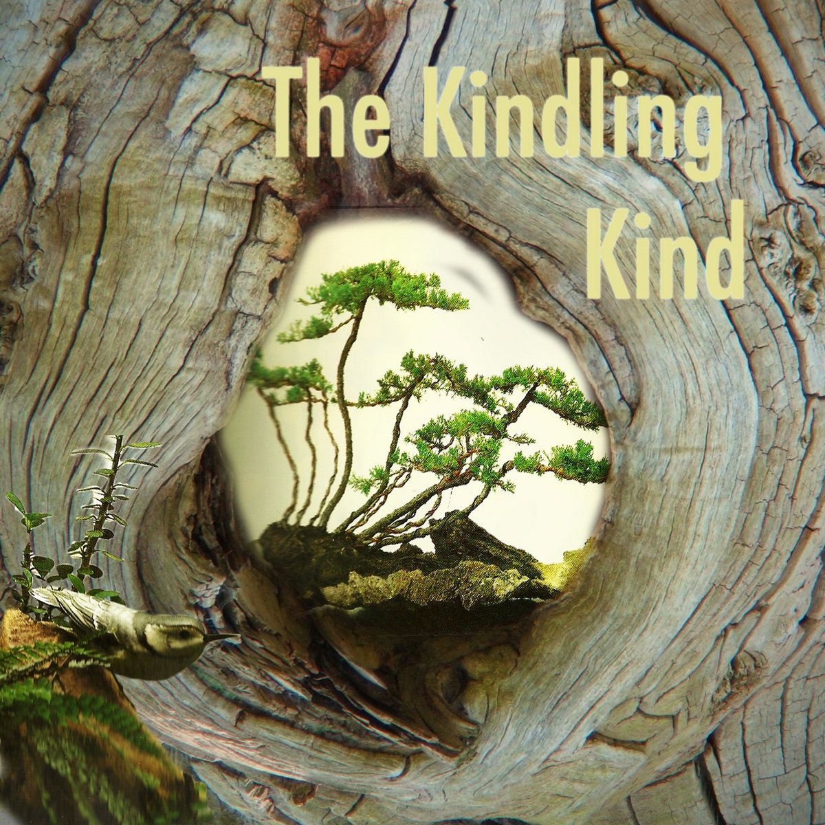 The Kindling Kind | The Kindling Kind