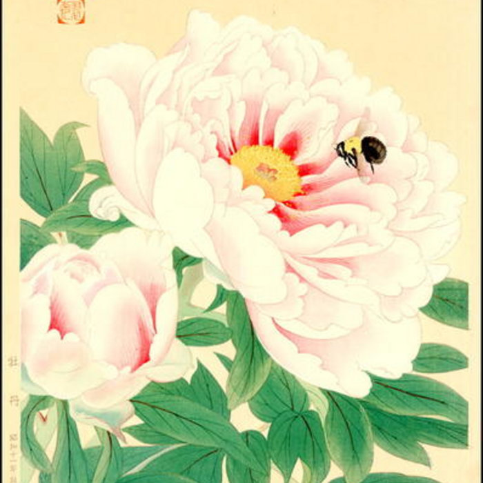 Dreaming of Being::Volume 2 | Doug Hawk