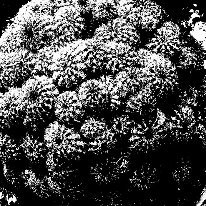 out of my system | beilmann