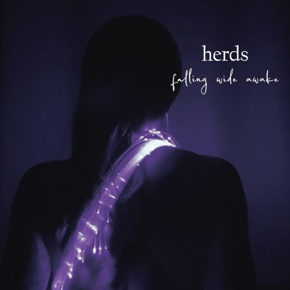 falling wide awake (deluxe digital version) | herds