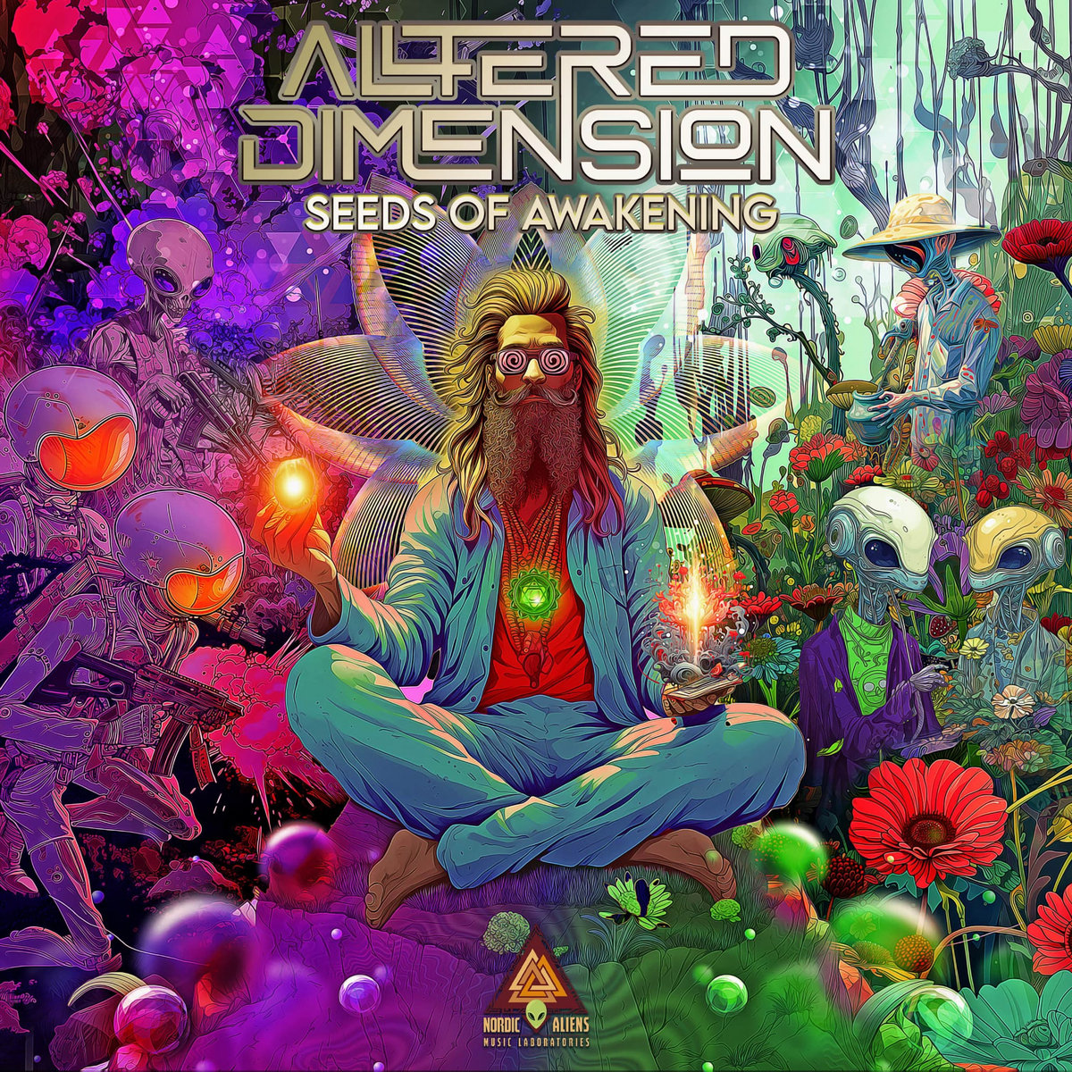 Seeds of Awakening | Altered Dimension | Nordic Aliens Music