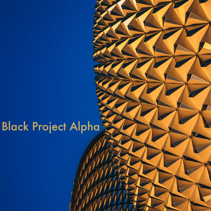 Hollow Forms (Remaster) | Black Project Alpha
