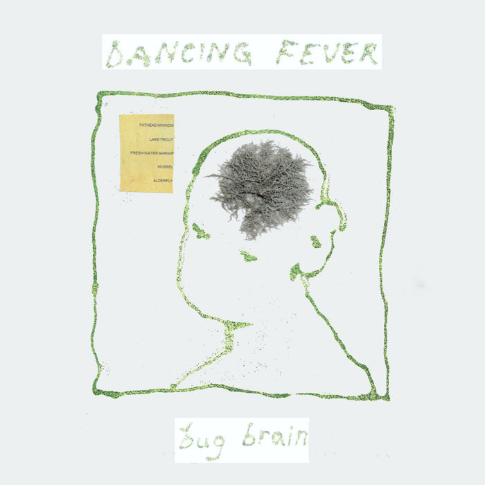 bug brain | Dancing Fever