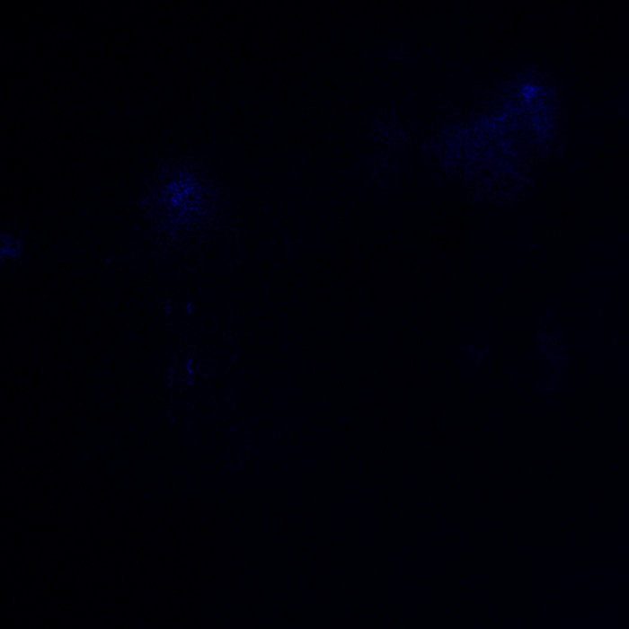 airing dirty laundry | gothicwvlff