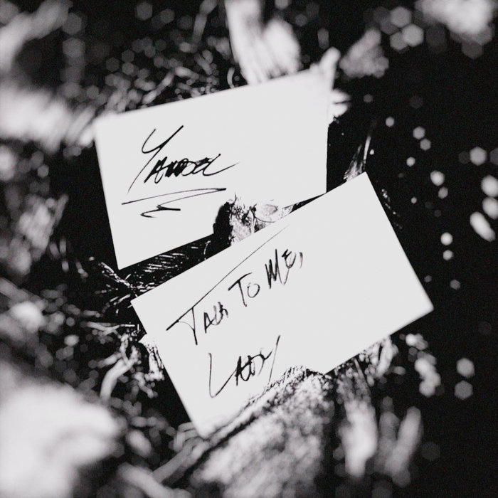 Talk To Me, Lady | Yandel Colon