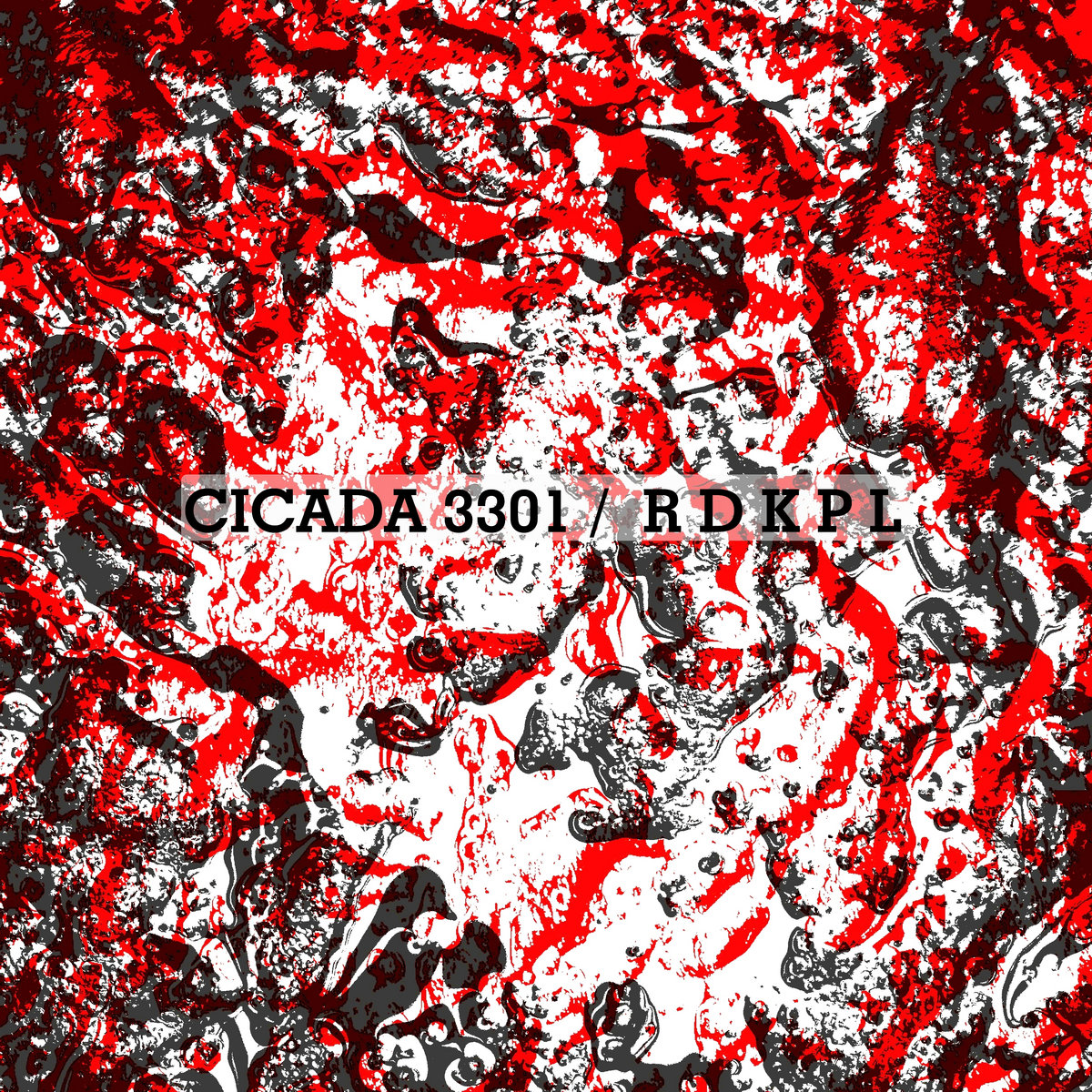 CICADA 3301 / RDKPL | CICADA 3301 / RDKPL | RDKPL