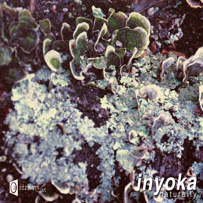 Inyoka - Naturally | Inyoka | The Gradient Perspective