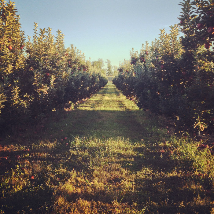 Tastes | Ryan Plumley