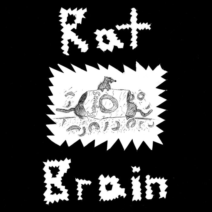 Rat Brain | Rat Brain