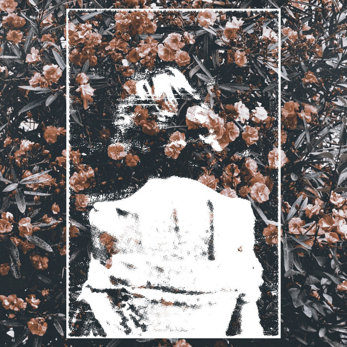 4-Way Split | armywives