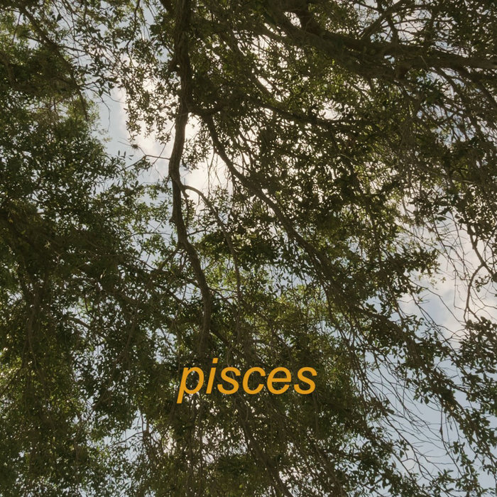 Pisces | Evan Draper