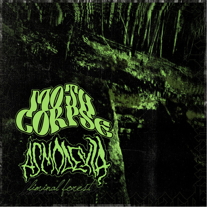 Moth Corpse split | ASMODEXIA