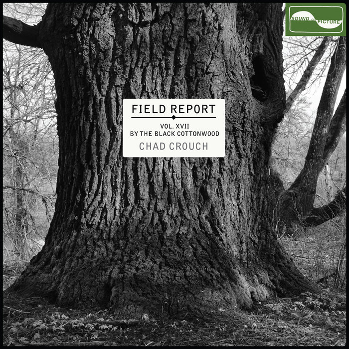 Field Report Vol. XVII: By the Black Cottonwood | Chad Crouch