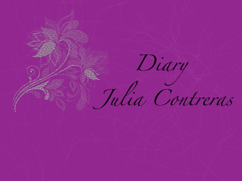 Diary | Julia Contreras