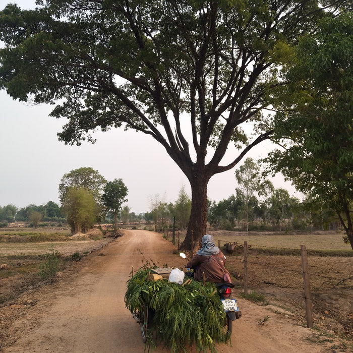 Zoomer (LP) | Big Pilot