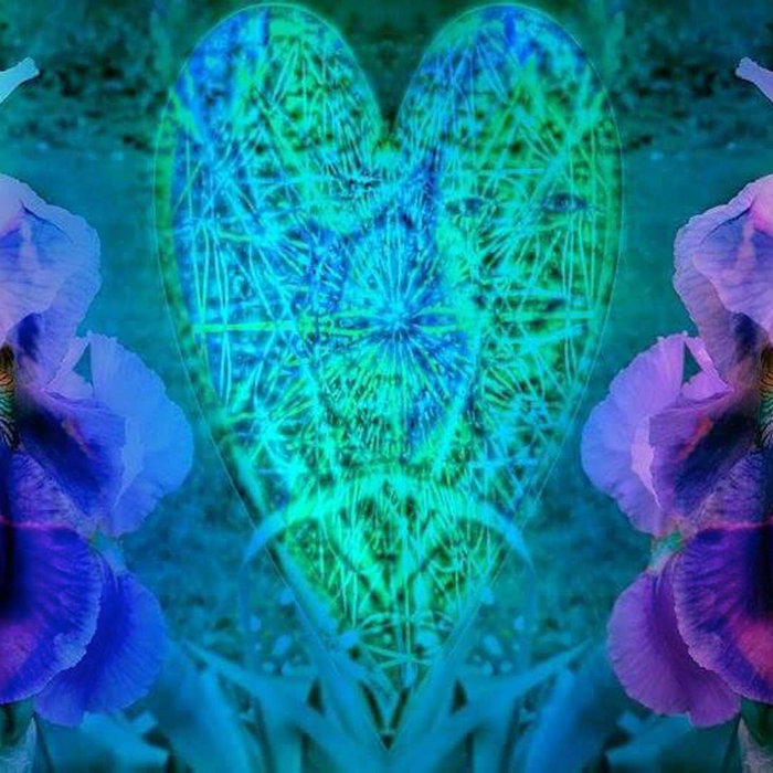 Transcend Beyond | Dreamweavers