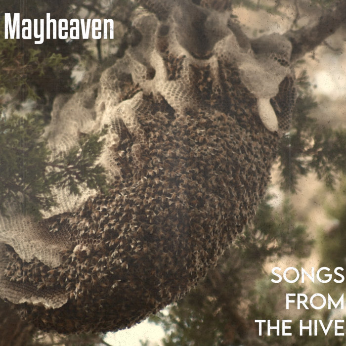 Songs From The Hive | mayheaven