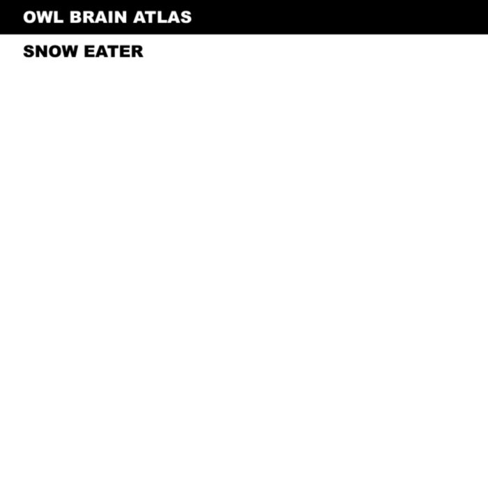 New Helicopter | Owl Brain Atlas