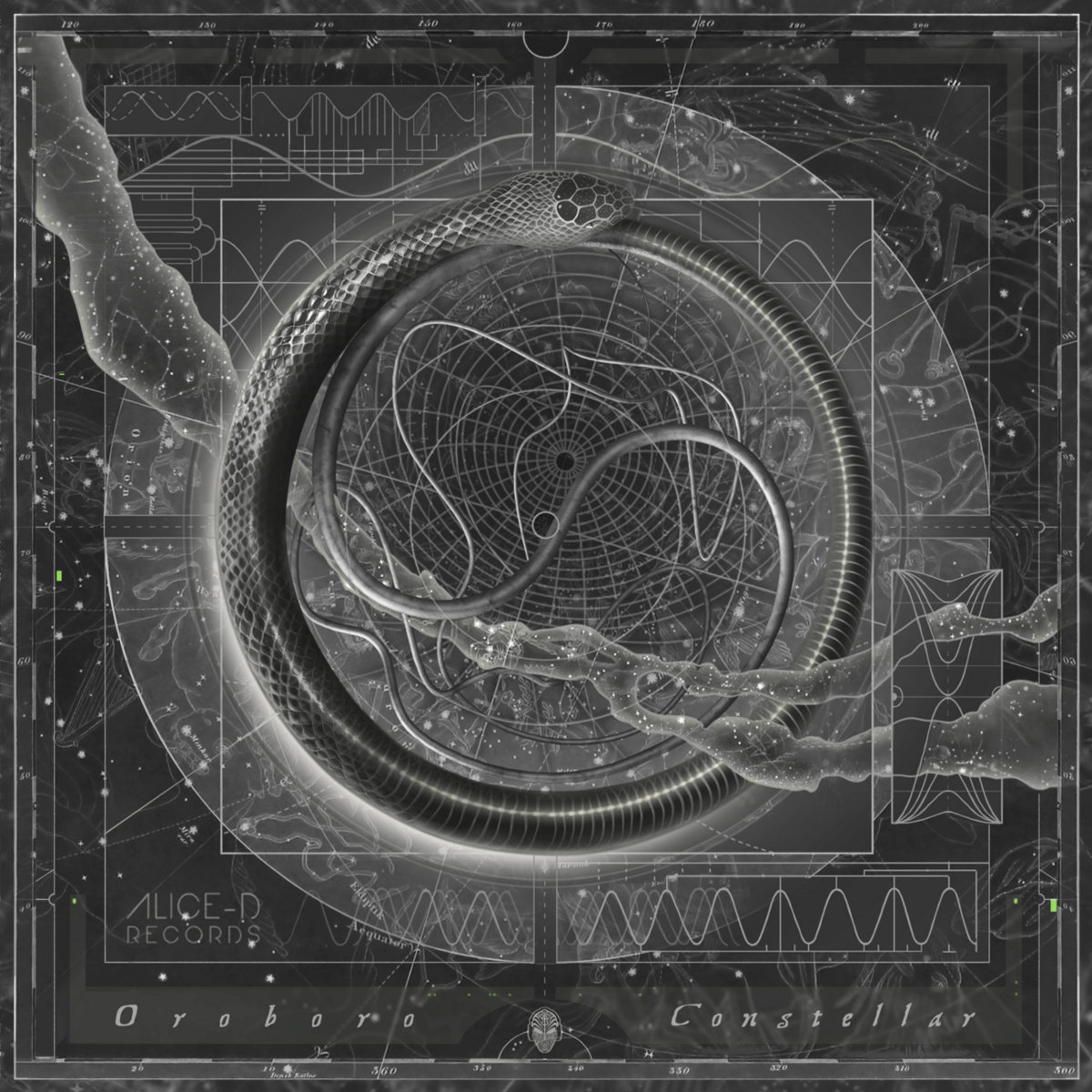 Constellar | Alice D